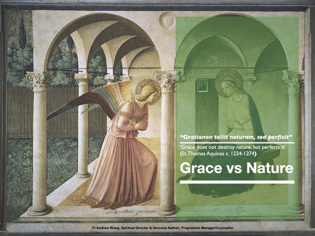 Grace vs Nature - Catholic Spirituality Centre (CSC) Singapore